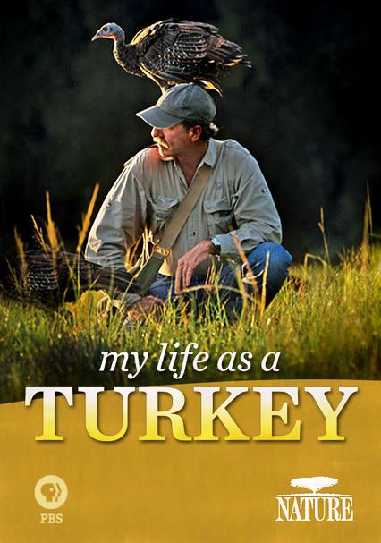 Morgan Outdoors – My Life As a Turkey screening Nov. 24th